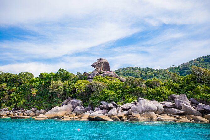 Similan Islands One Day Tour From Khao Lak - Snorkeling and Marine Life