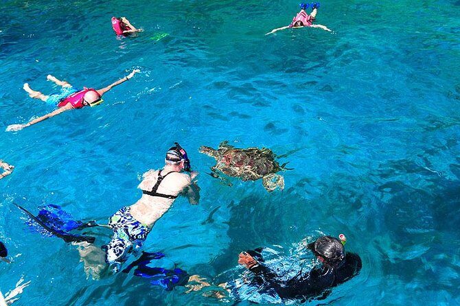 Similan Islands One Day Tour From Khao Lak - Cost and Value