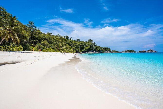 Similan Islands One Day Tour From Phuket Include Lunch & Pickup Transfer - Considerations and Potential Drawbacks