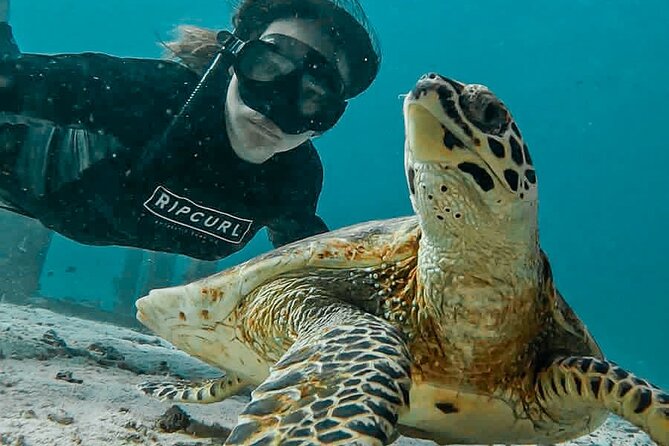 Similan Islands Private Tour - The Details of the Itinerary: What to Expect