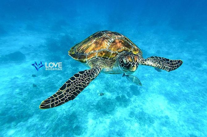 Similan Islands Snorkeling Day Trip By Love Andaman From Phuket - What’s Included and What You Should Expect