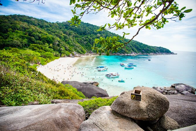Similan Islands Snorkeling Tour By Seastar Andaman From Phuket - Group Size and Atmosphere