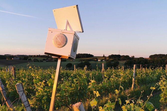 Simple Visit to Discover the Domaine d'Arton - The Value Proposition