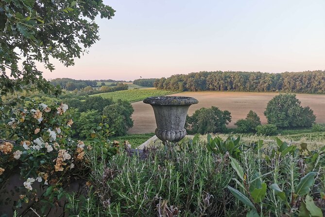 Simple Visit to Discover the Domaine d'Arton - Who Would Love This Tour?