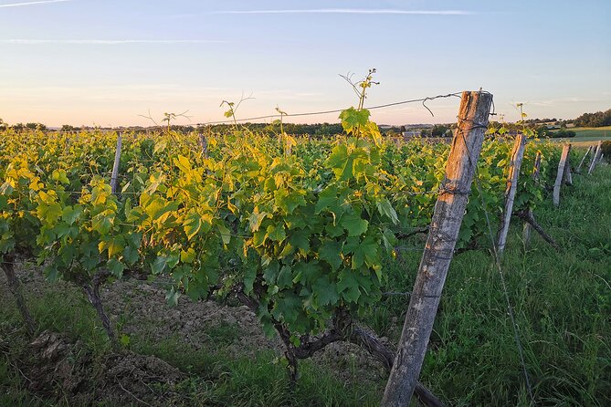 Simple Visit to Discover the Domaine d'Arton - FAQ