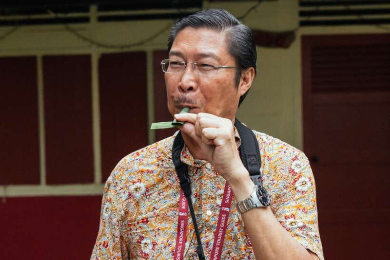 Singapore: 2.5-Hour Private City Tour Off the Beaten Track - The Experience: Pros and Cons