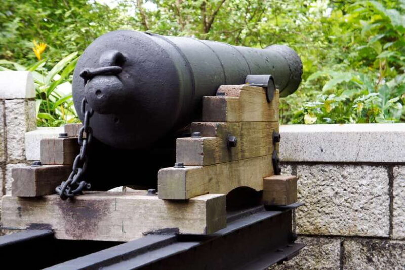 Singapore 2.5-Hour Walking Tour: Graves, Guns & Battles - Exploring the Heart of Singapore’s Past