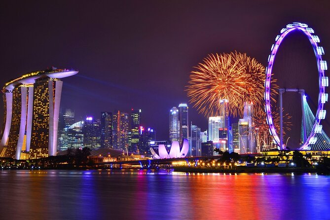 Singapore Airport Private Transfer Service: 4 Seater Car to 45 Seater Bus - Vehicles and Comfort