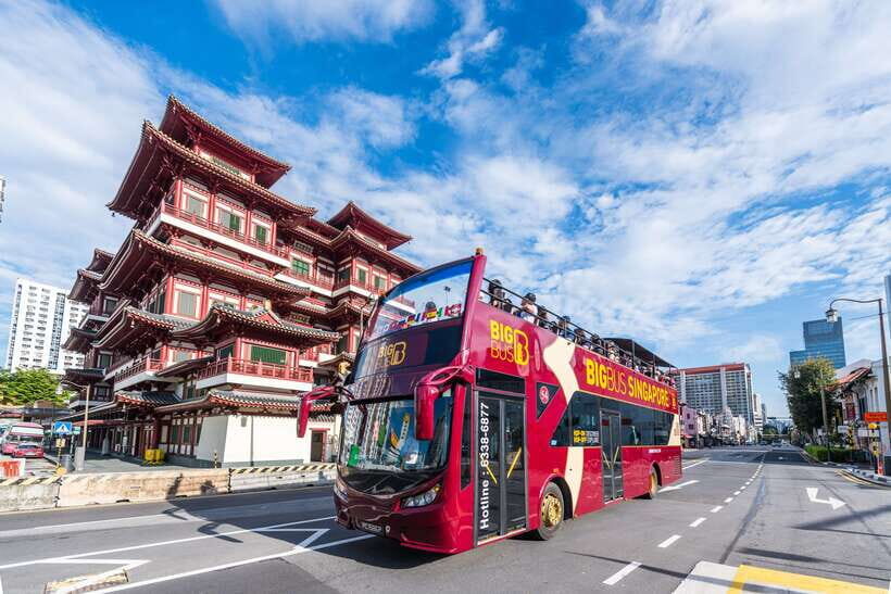 Singapore: Big Bus Hop-On Hop-Off Tour by Open-Top Bus - The Sum Up: Who Is This Tour For?
