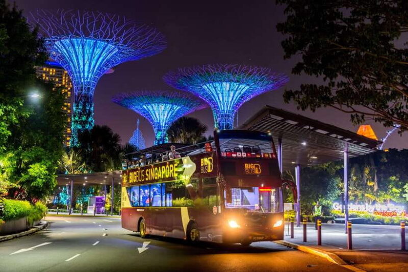 Singapore: Big Bus Night Tour by Open-Top Bus & Live Guide - The Value of the Tour
