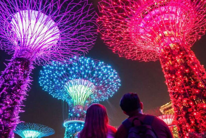 Singapore: Big Bus Night Tour by Open-Top Bus & Live Guide - Who Would Enjoy This Tour?