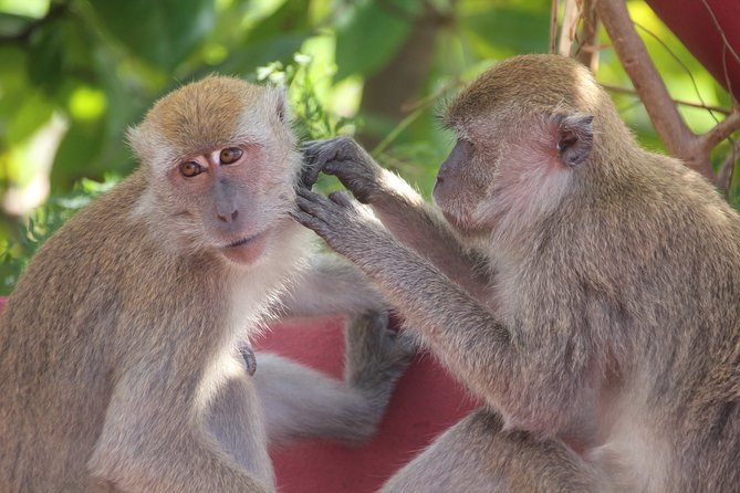 Singapore - bike adventure beyond the concrete jungle - The Sum Up