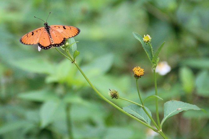 Singapore - bike adventure beyond the concrete jungle - FAQ