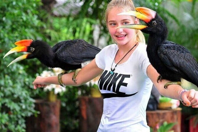 Singapore Bird Paradise E-Tickets - What’s Included and How Much It Costs