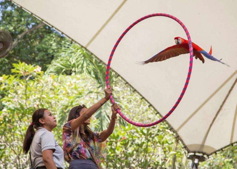 Singapore: Bird Paradise Entry Ticket - Key Points