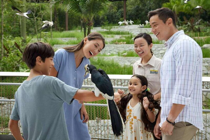 Singapore: Bird Paradise Entry Ticket - Genuine Insights from Visitors