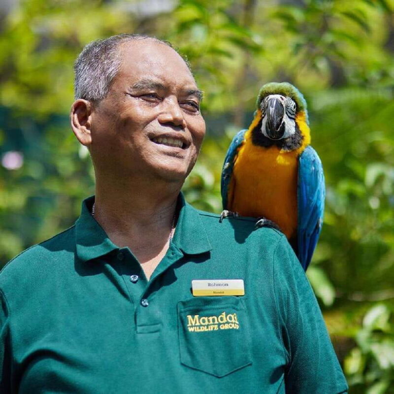 Singapore: Bird Paradise Entry Ticket - FAQs