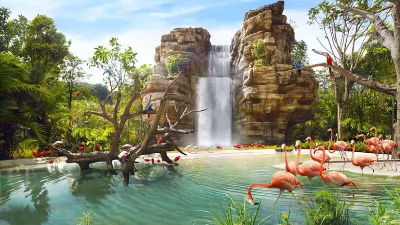 Singapore: Bird Paradise - Who Should Visit?