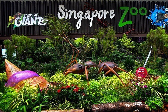 Singapore Bird Paradise & Zoo Full Day (Ticket & Transfer ) - What the Reviews Say