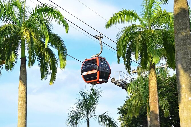 Singapore Cable Car - An In-Depth Look at the Singapore Cable Car Experience
