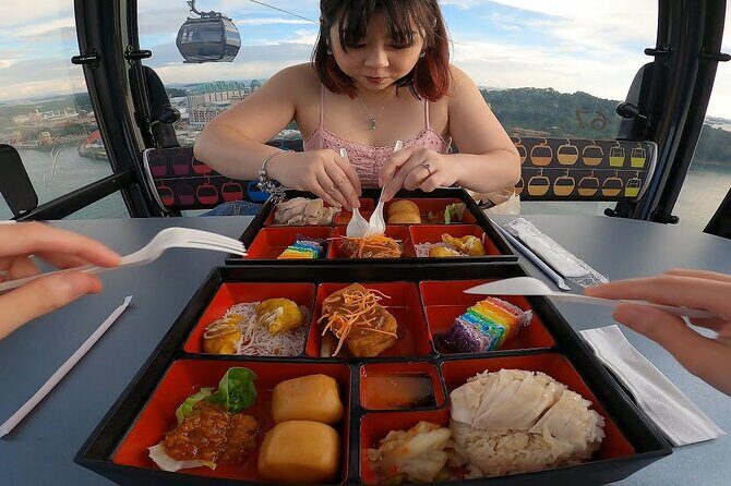 Singapore Cable Car Sky Pass, Sentosa - An In-Depth Look at the Singapore Cable Car Sky Pass