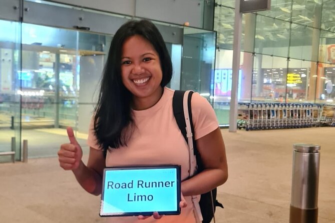 Singapore Changi Airport Arrival Transfer - The Vehicle & Comfort: What Travelers Report