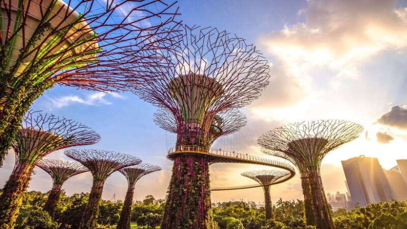 Singapore: City Tour with Cloud Forest and Supertree Tickets - Detailed Breakdown of the Itinerary