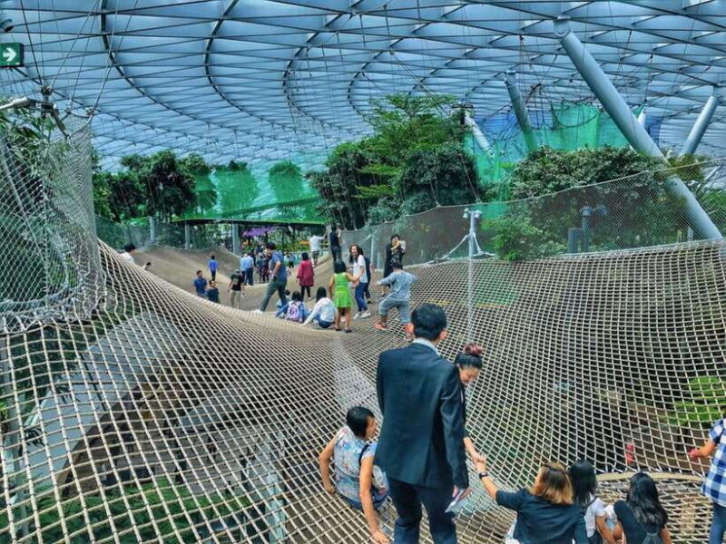 Singapore: Discover Jewel Changi Guided Tour - Who Is This Tour Best For?