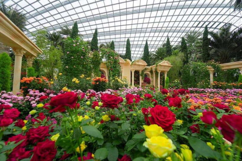 Singapore: Disney Garden of Wonder at Floral Fantasy - FAQ