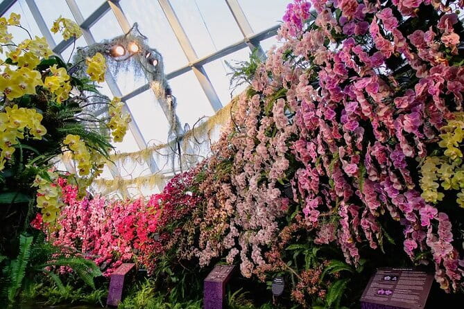 Singapore Flyer - FAQs