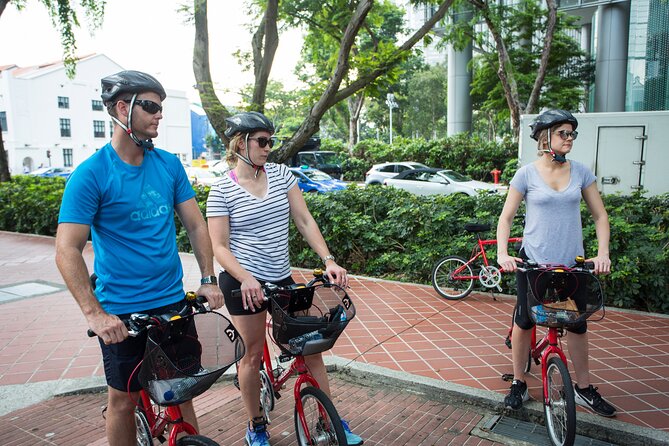 Singapore Full-Day Bike & Food Tour ( Private Tour ) - Key Points