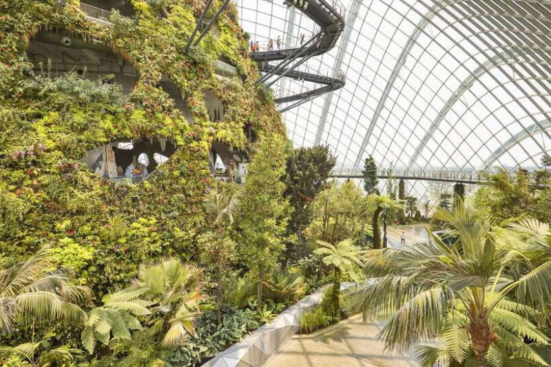 Singapore: Gardens by the Bay Admission E-Ticket - Practical Tips for Your Visit