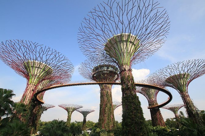 Singapore: Gardens by the Bay Admission E-Ticket - The Value for Money