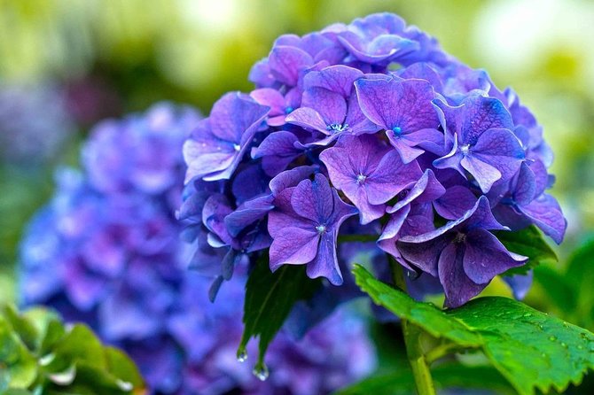 Singapore: Gardens by the Bay Admission E-Ticket - Who Should Consider This Tour?