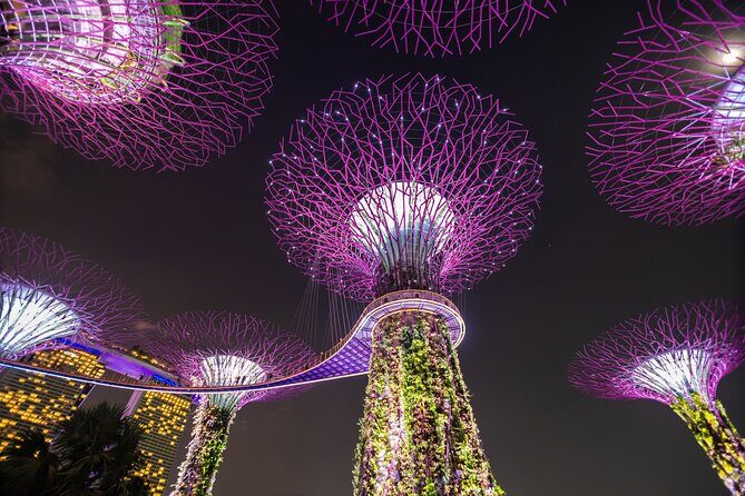 Singapore Gardens by the Bay Admission Skip-The-Line E-Ticket - FAQ: Your Practical Questions Answered