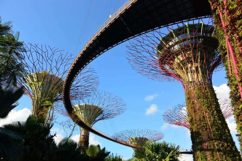 Singapore: Gardens by the Bay Guided Tour/Photography - Practical Details and Tips
