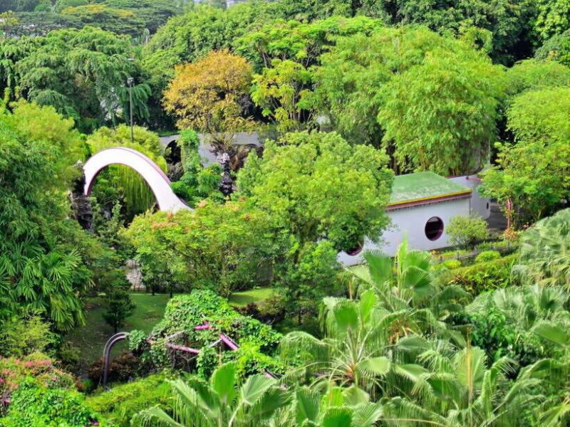 Singapore: Gardens by the Bay Guided Tour/Photography - Final Thoughts: Who Is This Tour Best For?