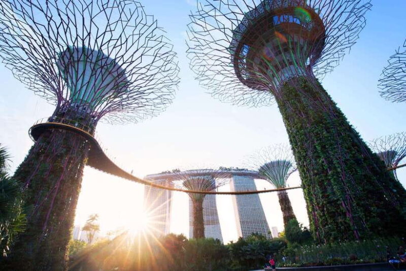 Singapore: Gardens by the Bay Guided Tour - Who Will Enjoy This Tour?