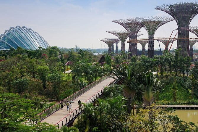 Singapore Gardens by the Bay with Flower Dome and Cloud Forest - The Itinerary in Detail
