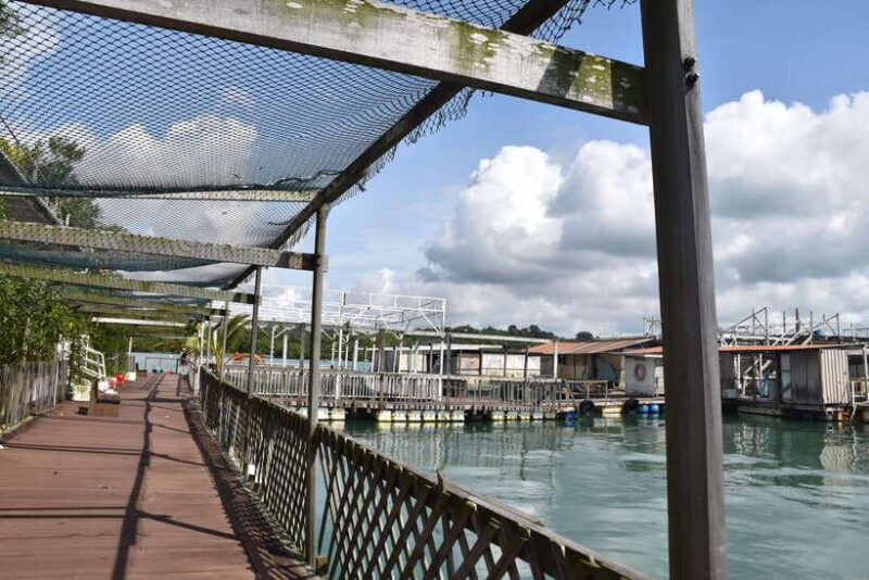 Singapore: Guided Boat Tour and Kelong Fish Farm Visit - FAQ