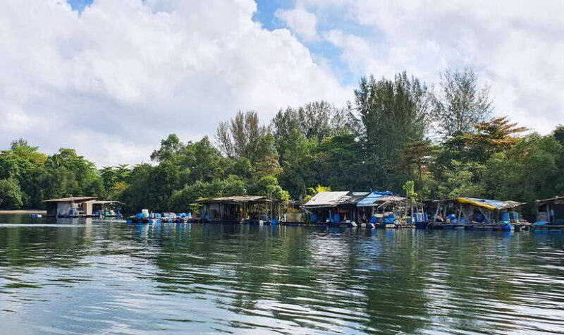 Singapore: Guided Boat Tour and Kelong Fish Farm Visit - Final Thoughts
