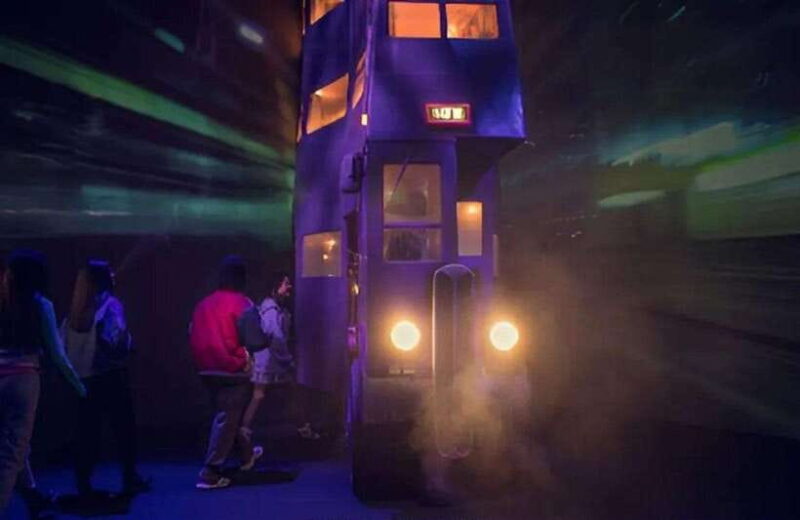 Singapore: Harry Potter Visions of Magic at Sentosa Ticket - The Experience for Different Travelers