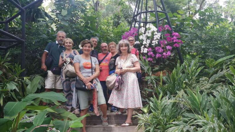 Singapore: Highlights & Hidden Gems Walking Tour - The Practical Side: Price, Duration, and Comfort