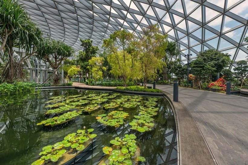 Singapore: Jewel Changi Airport Attraction Ticket - Final Thoughts: Is It Worth It?