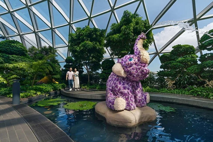 Singapore: Jewel Changi Airport Attraction Ticket - Who Should Consider This Tour
