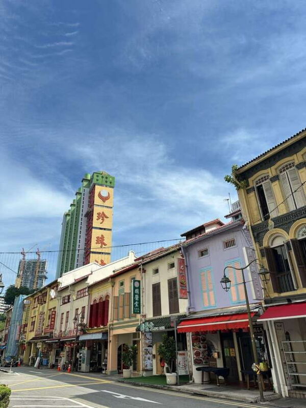 Singapore Limousine Van Tour: Chinatown/Haji Lane/Joo Chiat - Deep Dive into Neighborhoods