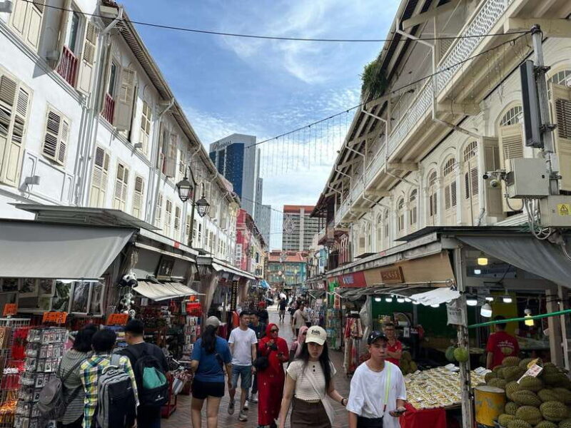 Singapore Limousine Van Tour: Chinatown/Haji Lane/Joo Chiat - Who This Tour Is Best For