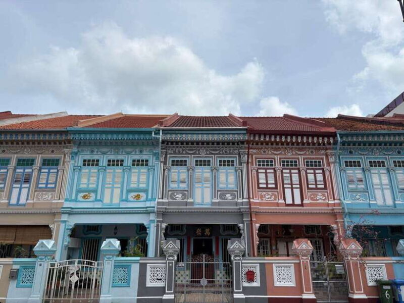 Singapore Limousine Van Tour:  Shopping & Street Food Trail - Who Should Consider This Tour?