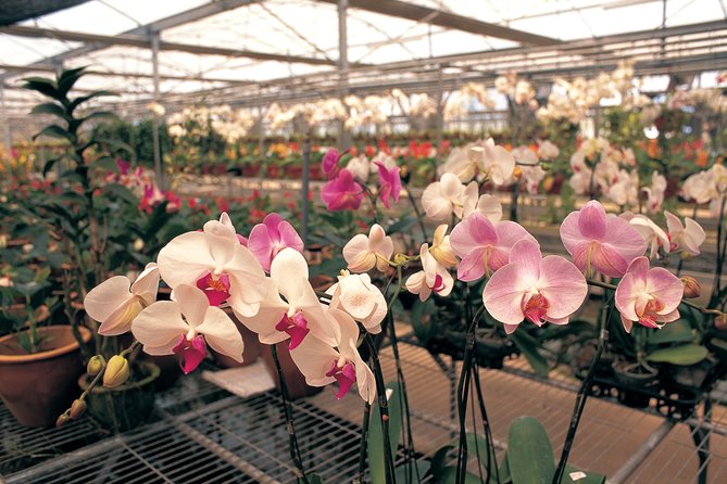 Singapore Morning City Tour - FAQ