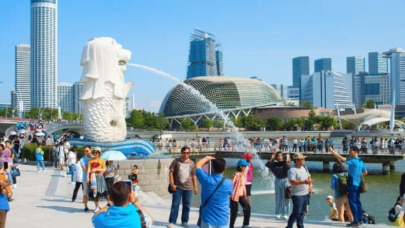 Singapore Morning Tour:Gardens by the Bay & Sentosa Transfer - Who is this tour best suited for?